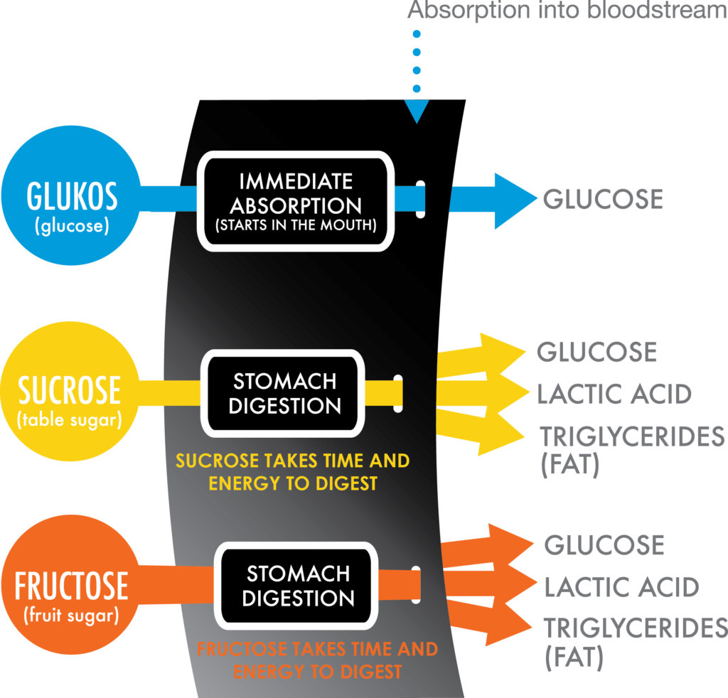 Why Glucose Is Better - The Glukos Company, Inc. (1024x982), Png Download