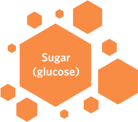 Download Glucose | Transparent PNG Download | SeekPNG