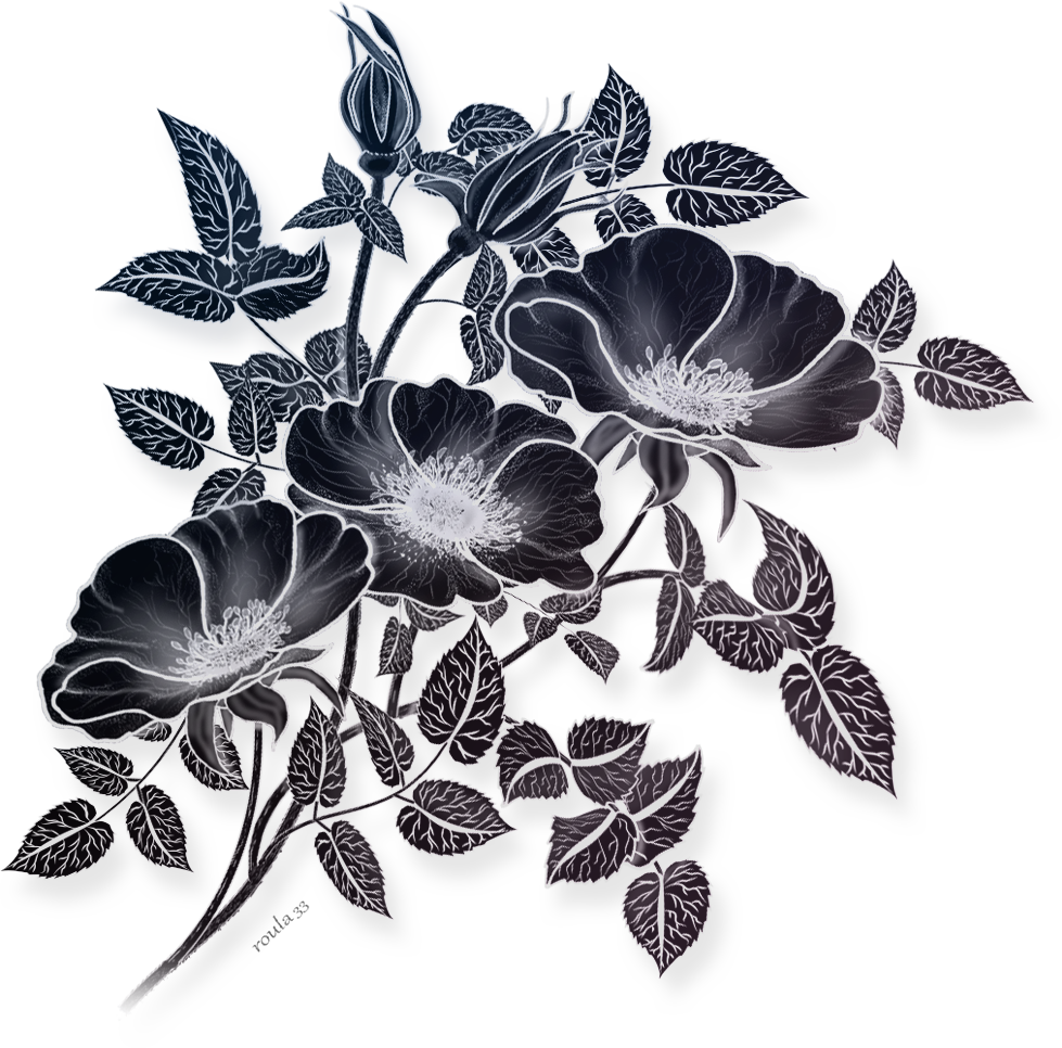 Flowers Drawing Illustration, Png File - Drawing (979x966), Png Download