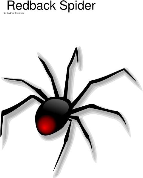 Download Spider Clip Art - Clipart Spider | Transparent PNG Download ...