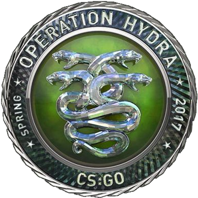 Download Last Matches - Hydra Coin Csgo | Transparent PNG Download ...