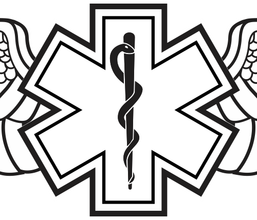 Download Ems Pilot / Crew Wings - Estrella De La Vida Png | Transparent ...