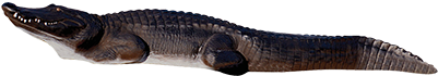 Alligator 3d Archery Target - Alligators (400x400), Png Download