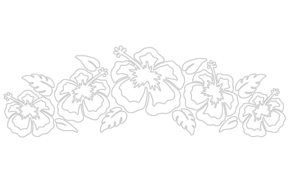 Download Hibiscus Clipart Sketching - Hawaiian Flowers Border Black And ...