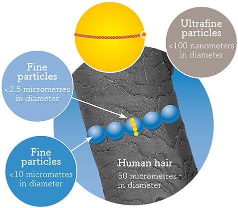 Fine Particles - Ultrafine Particles (500x436), Png Download