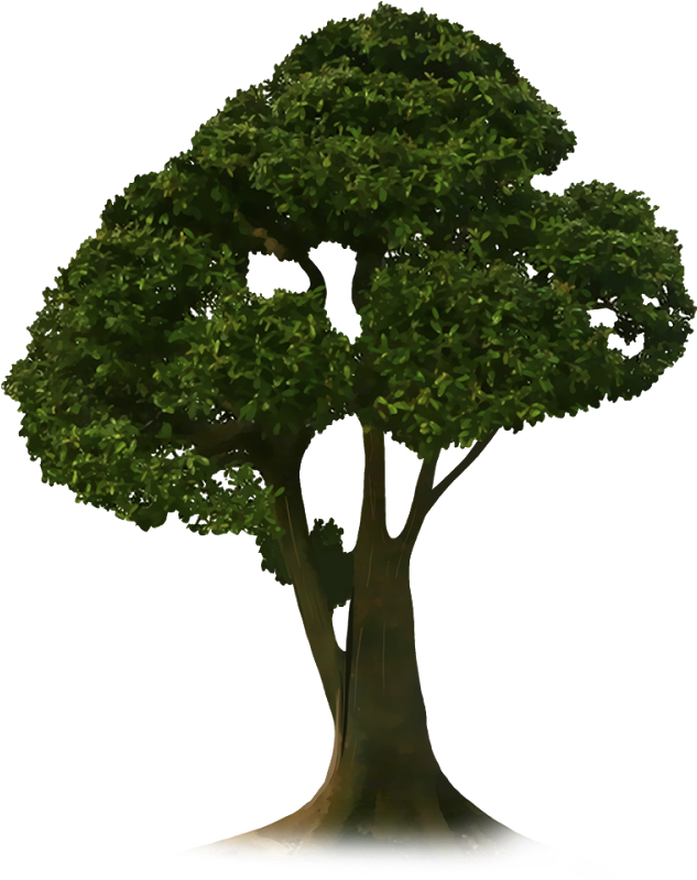 Crop Tree Png - Studio Flower Pot Png Hd (1600x1000), Png Download