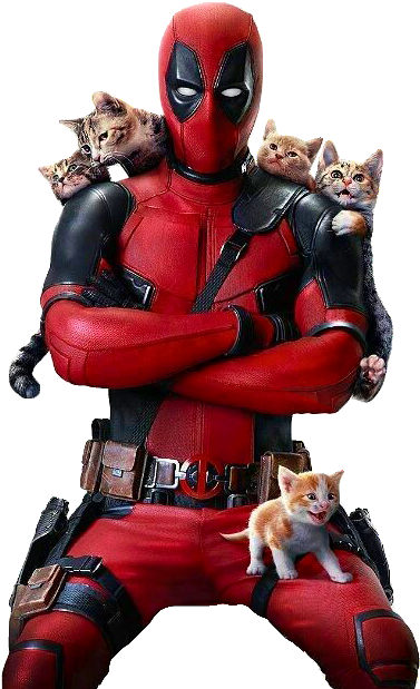 Png Deadpool - Deadpool Kittens (429x640), Png Download