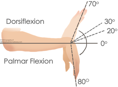 Ds Store - Wrist Dorsiflexion (504x369), Png Download