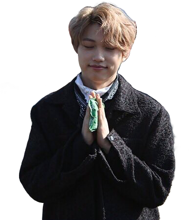 Download Felix Stray Stray Kids Png | Transparent PNG Download | SeekPNG