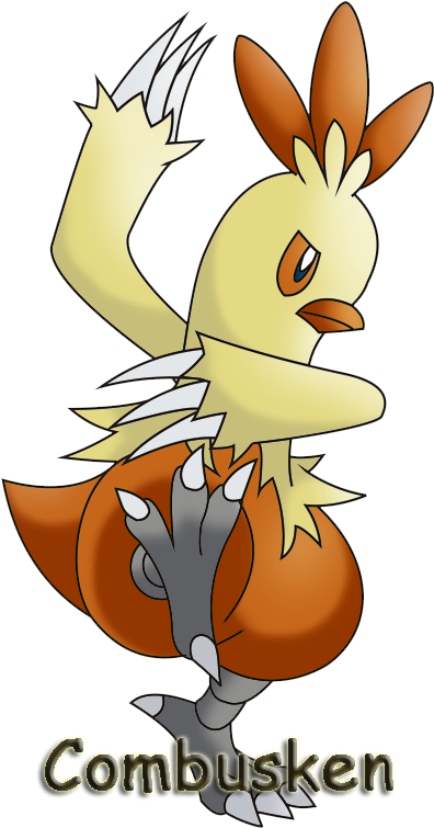 Combusken - Pokemon Combusken (405x766), Png Download