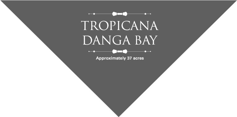 Completed - Graphic Design (1516x382), Png Download