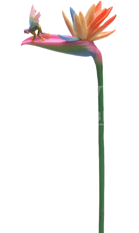 Bird Of Paradise Stem Flitty Fairy Flower - Stem Flitty - Bird Of ...