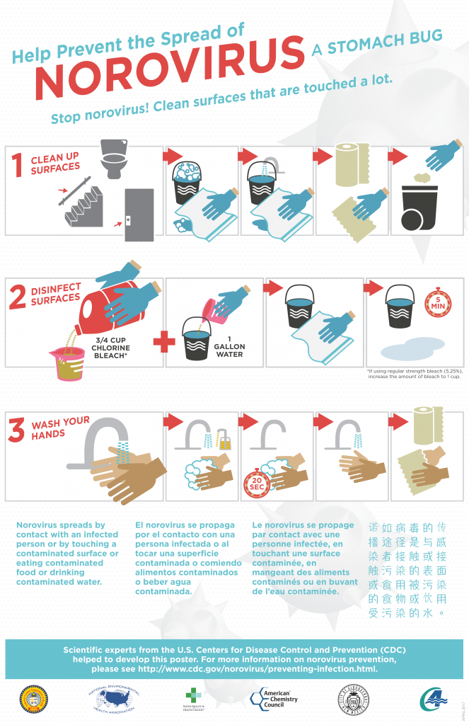 Norovirus Prevention Poster - Disinfectants (663x1024), Png Download