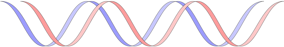 Gene Vector Png - Genetics (960x480), Png Download