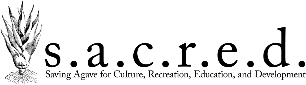 Sacred Logo - Usc Viterbi School Of Engineering (1000x284), Png Download