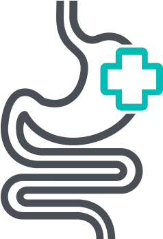 Download Illustration Of Gastroenterology Health - Gastrointestinal ...