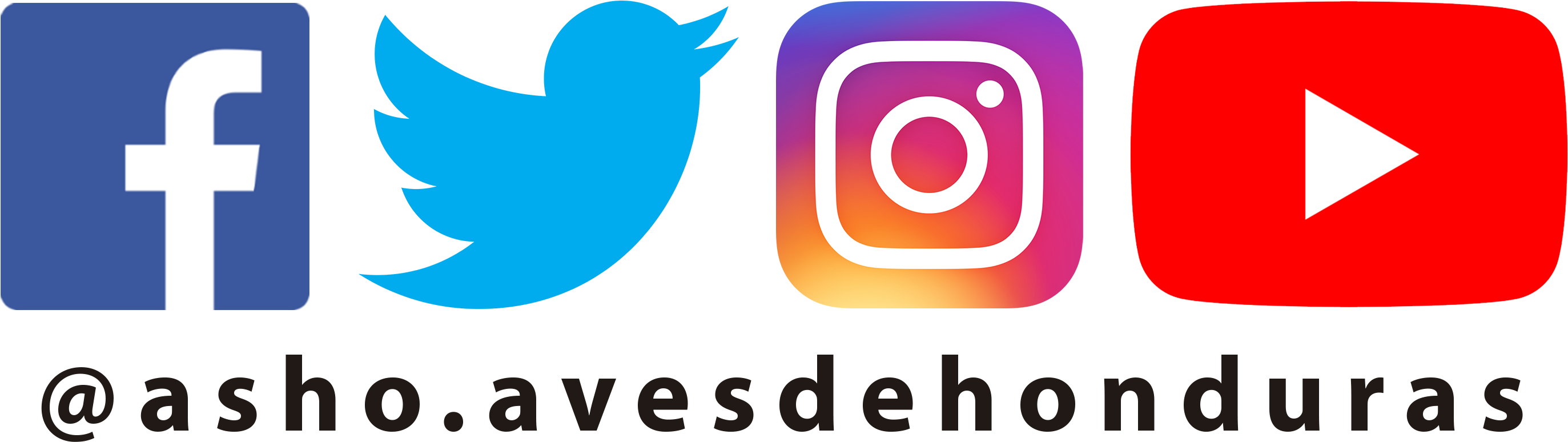 Síguenos En Nuestras Redes Sociales - Play Store Wordpress Theme (2953x945), Png Download