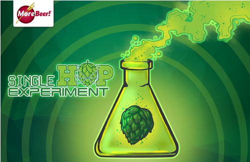 The Apollo Single Hop Experiment - Hops (500x500), Png Download