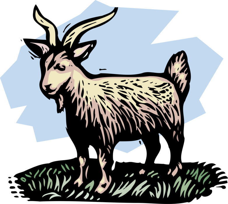 Vector Illustration Of Farm Scene Livestock Billy Goat (782x700), Png ...