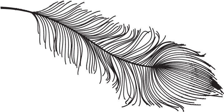 Parisian Showgirls - Vintage Feather Png (792x612), Png Download