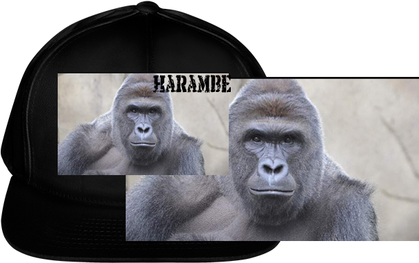 Solid Color Cotton Snapback - Harambe The Gorilla: Dicks Out For ...