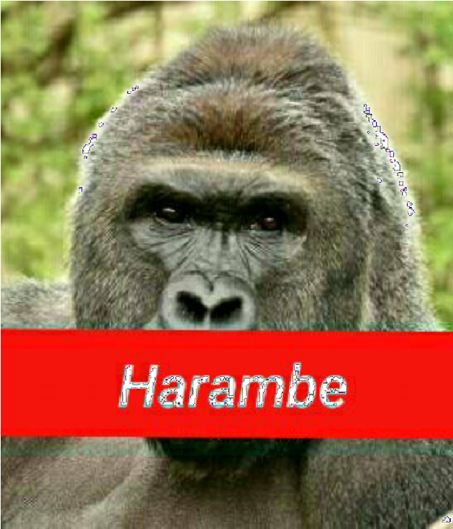 Model Image Graphic Image - Harambe Face (637x910), Png Download