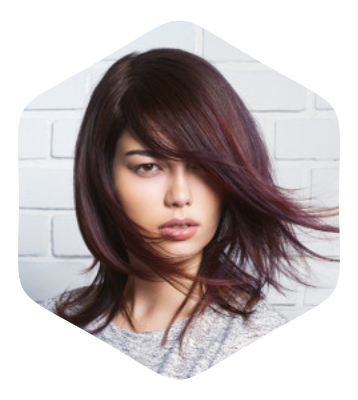 Download Hair Extensions - Kappers Abonnementen | Transparent PNG ...