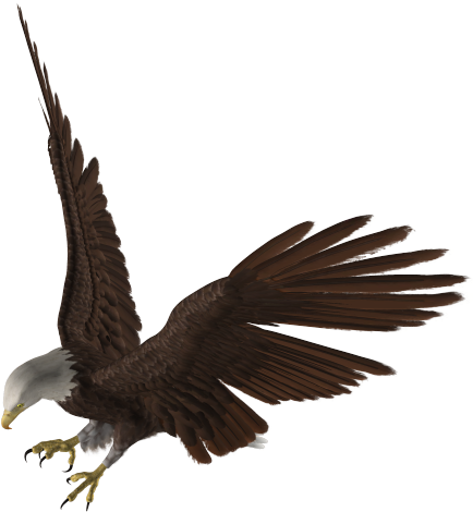 Eagle - Eagle Silhouette (471x482), Png Download