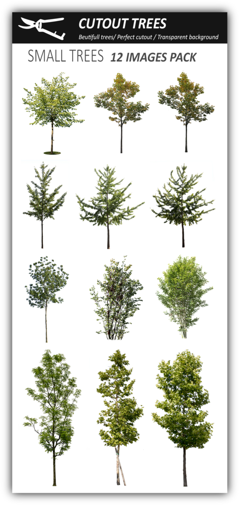 12 Small Size Trees Pack - Cutout Trees (489x1024), Png Download