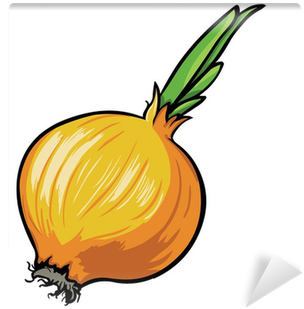 Cebula Rysunek (400x400), Png Download