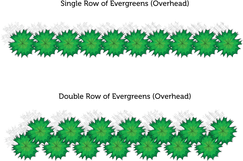 Privacy Screen Spacing - Double Staggered Row Hedge (792x612), Png Download