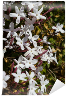 Fotosearch (400x400), Png Download