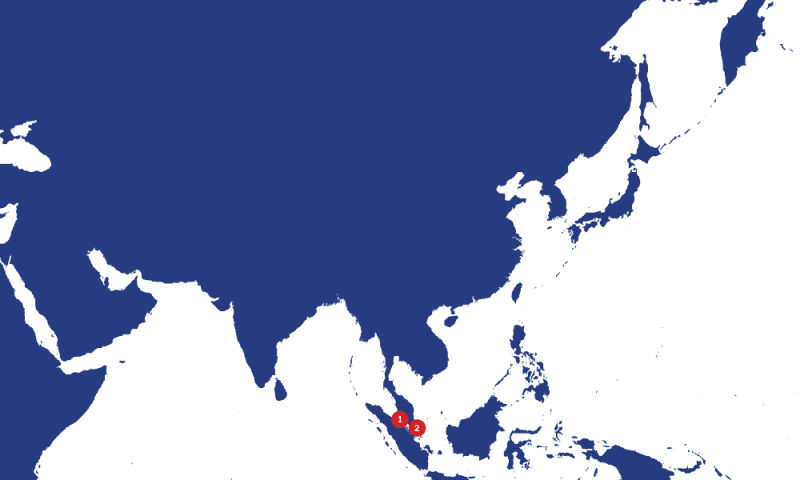 Leave - Future Map Of South Asia (800x480), Png Download