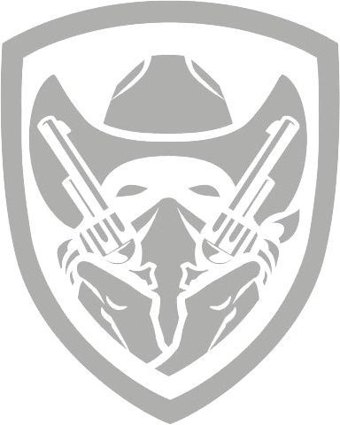 Medal Honor Patch - Moh Gunfighter Patch (384x480), Png Download