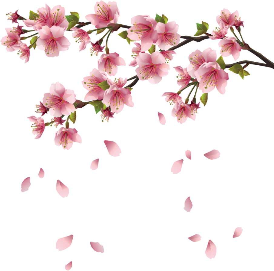 Image Beautiful Pink Spring - Falling Cherry Blossom Png (928x984), Png ...