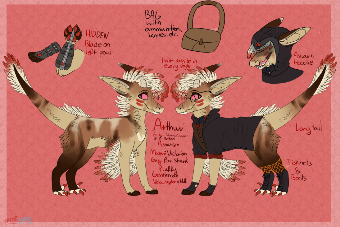Download Recent Images - Burro | Transparent PNG Download | SeekPNG