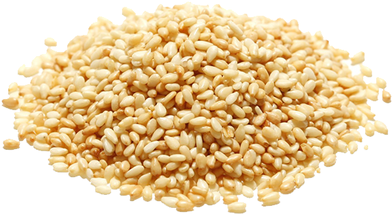 Sesame Seeds (600x600), Png Download
