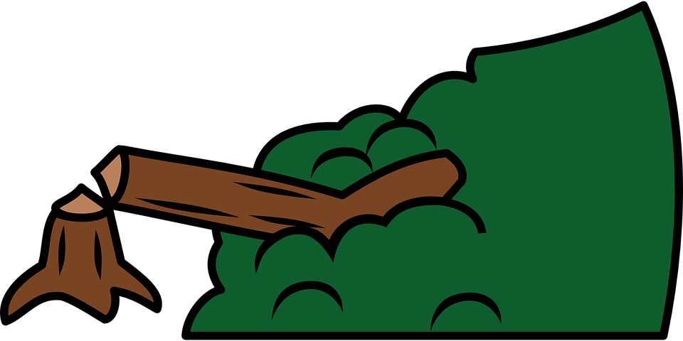 Download Deforestation Png - Fallen Tree Clip Art | Transparent PNG ...