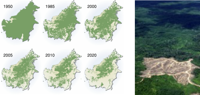 This Picture Shows The Island Of Borneo And The Process - Borneo ...