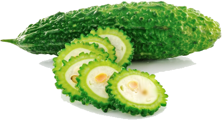 Download Karela Vegetable In English Name | Transparent PNG Download ...