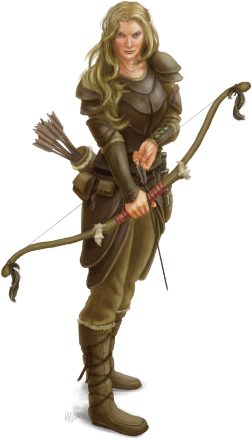 Drawn Elf Dnd - Ranger (833x1443), Png Download