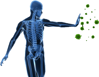 Download Immune System Png - Prevention And Infection Control ...