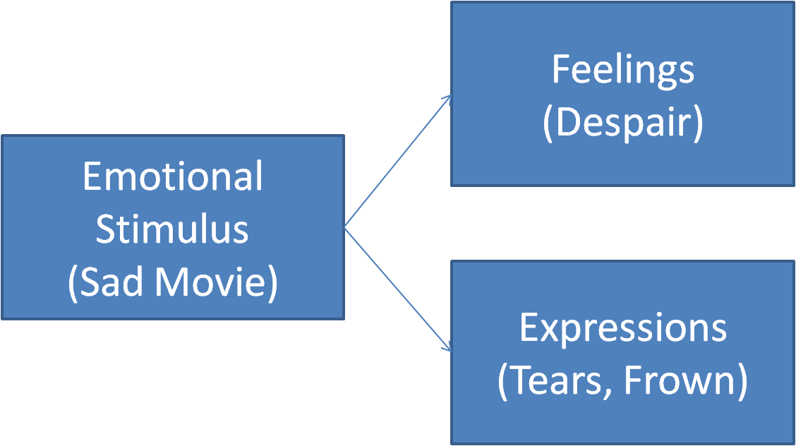 Expression-feeling Link - Facial Feedback Theory Of Emotion Psychology ...