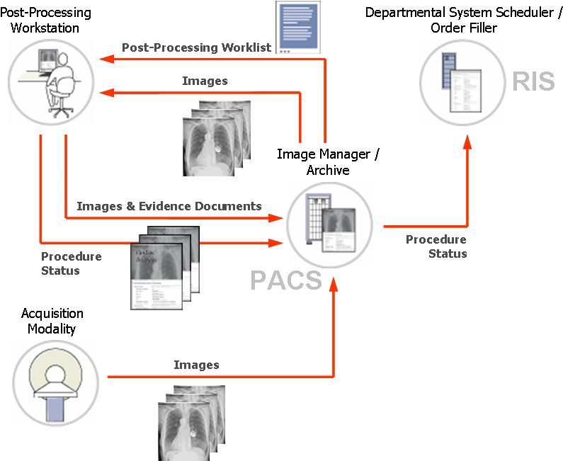 Download Ppwf-graphic - Post Process In Computer | Transparent PNG ...