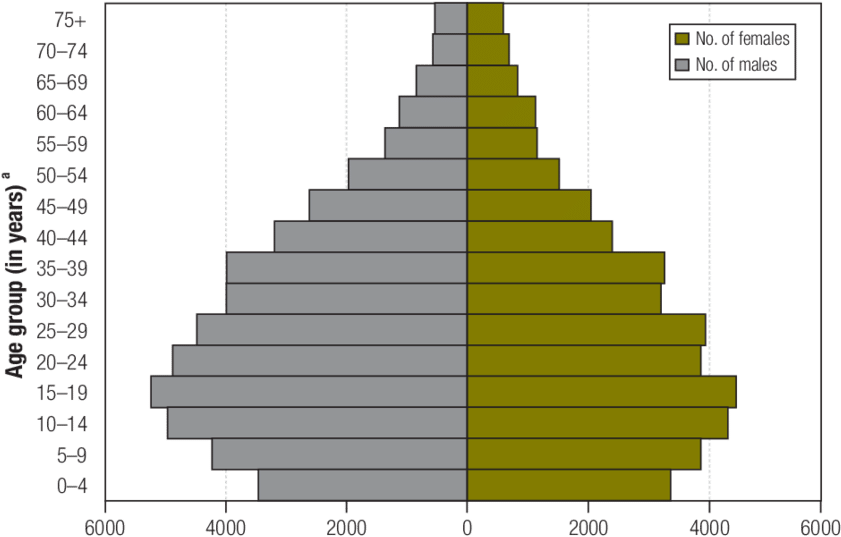 Population Pyramid - Population Pyramid Of Seoul (850x542), Png Download