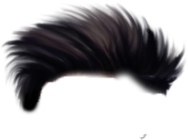 Hair Style Men Png (662x494), Png Download