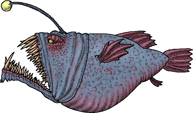 Angler Fish Png (648x450), Png Download