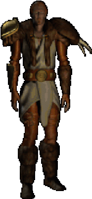 Dru#diablo-ii - Diablo 2 Druid (940x400), Png Download