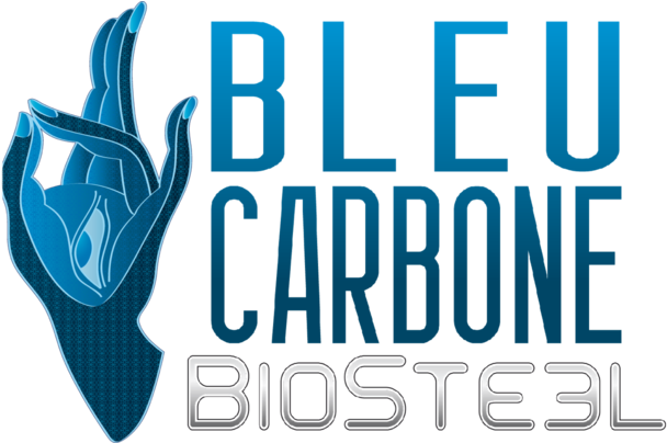 Biosteel Vienne Fr - Poster (640x403), Png Download