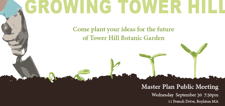 Thbg Public Meeting - Plants Under The Ground (748x352), Png Download